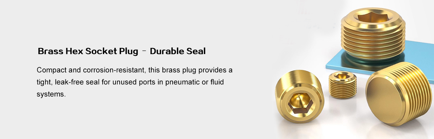 BD Plug Pneumatic Fitting | CG Pneumatic – Secure Line Plug